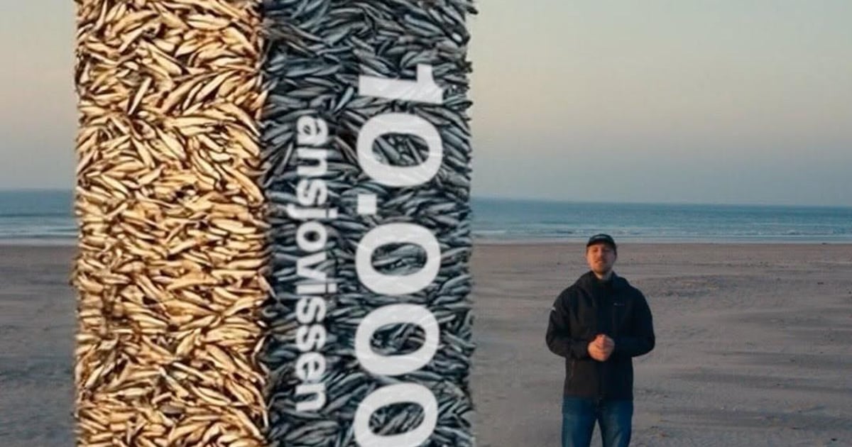 CGI Video Plnktn Stacks of Fish Form Pillars
