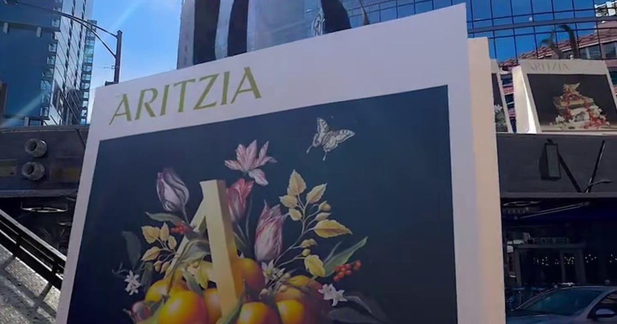 FOOH Ad Aritzia Shopping Bags Rail Transit